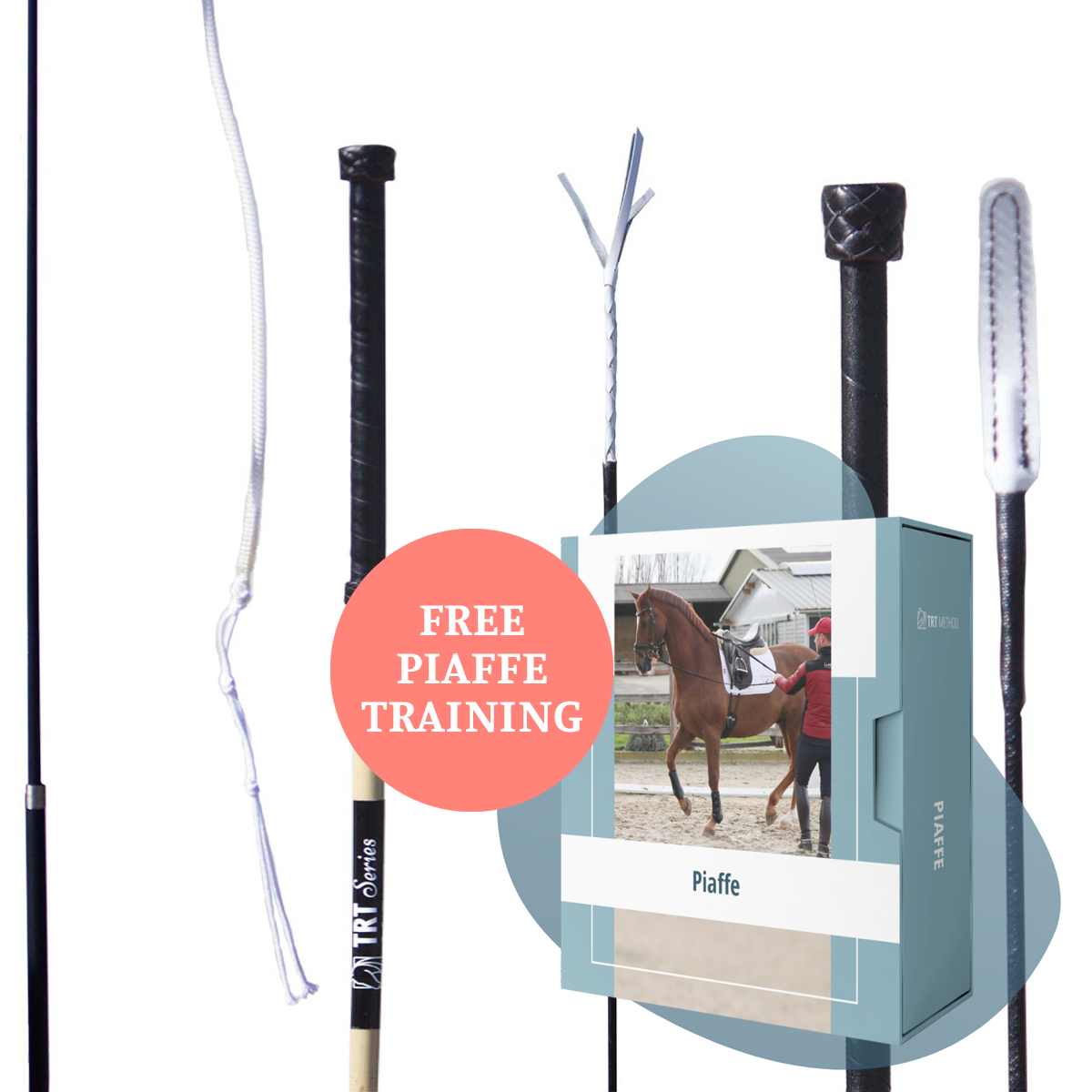 TRT Complete Piaffe Kit + FREE training! – TRT Tools