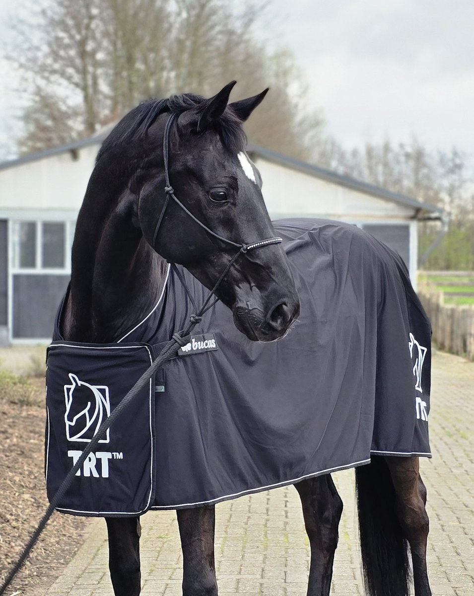 TRT Bling Rope Halter – TRT Tools