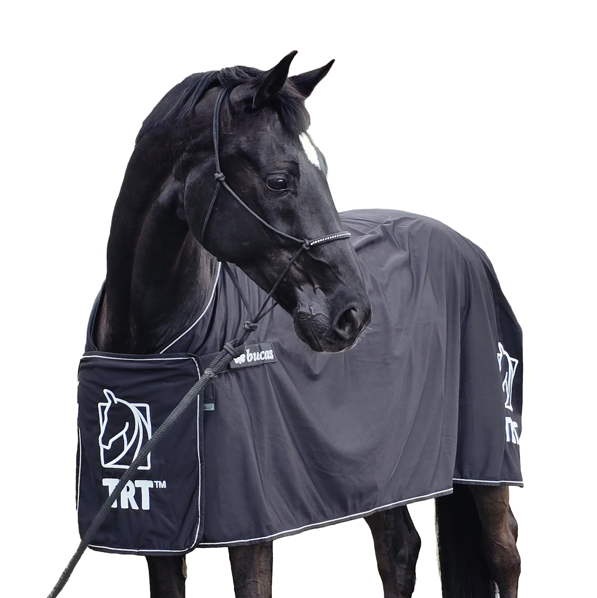 TRT x Bucas Panel Prize Cooler – TRT Tools