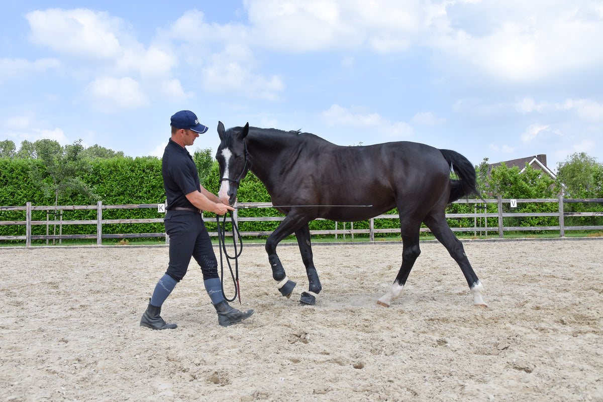 TRT Premium Groundwork Whip – TRT Tools